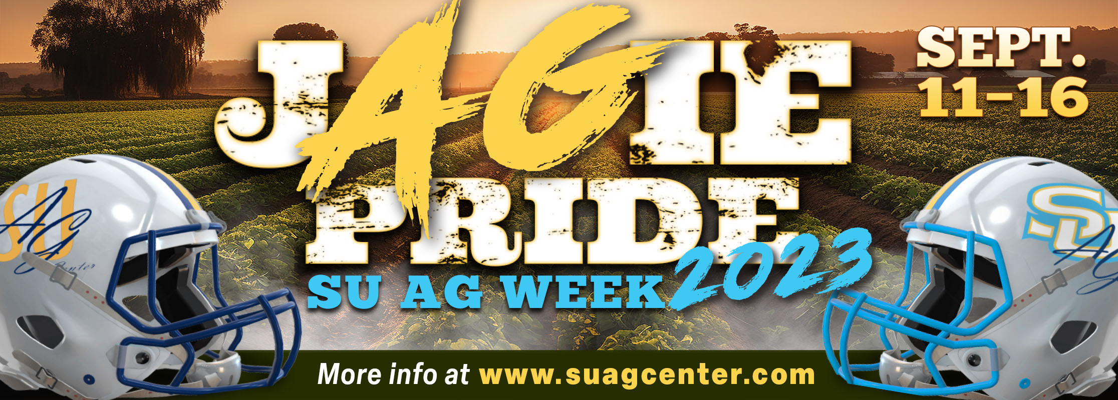 Southern University and A&M College